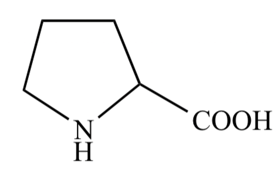 プロリン（Pro、P：Proline） - yakugaku lab