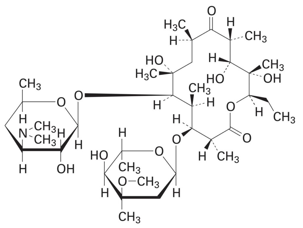 チアジド系降圧利尿剤 トリクロルメチアジド（フルイトラン） FLUITRAN - yakugaku lab